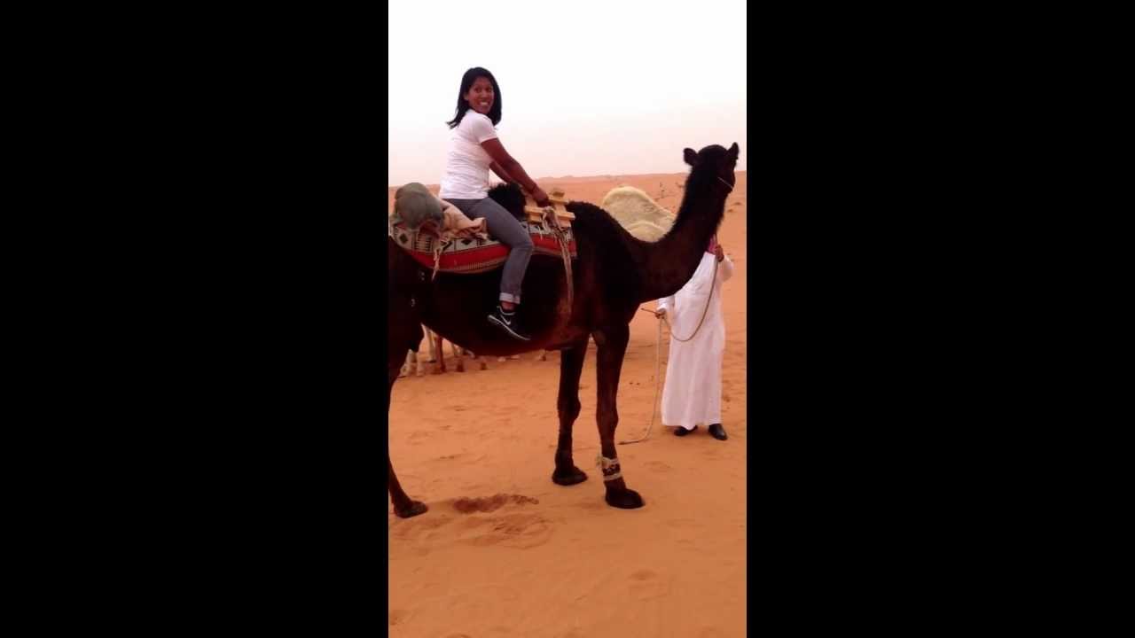 Riding Camels in the deserts of Riyadh. It was a guided ride, phew ...