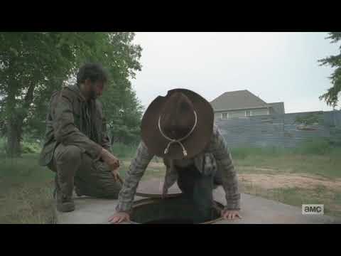 carl grimes - at the bottom of everything