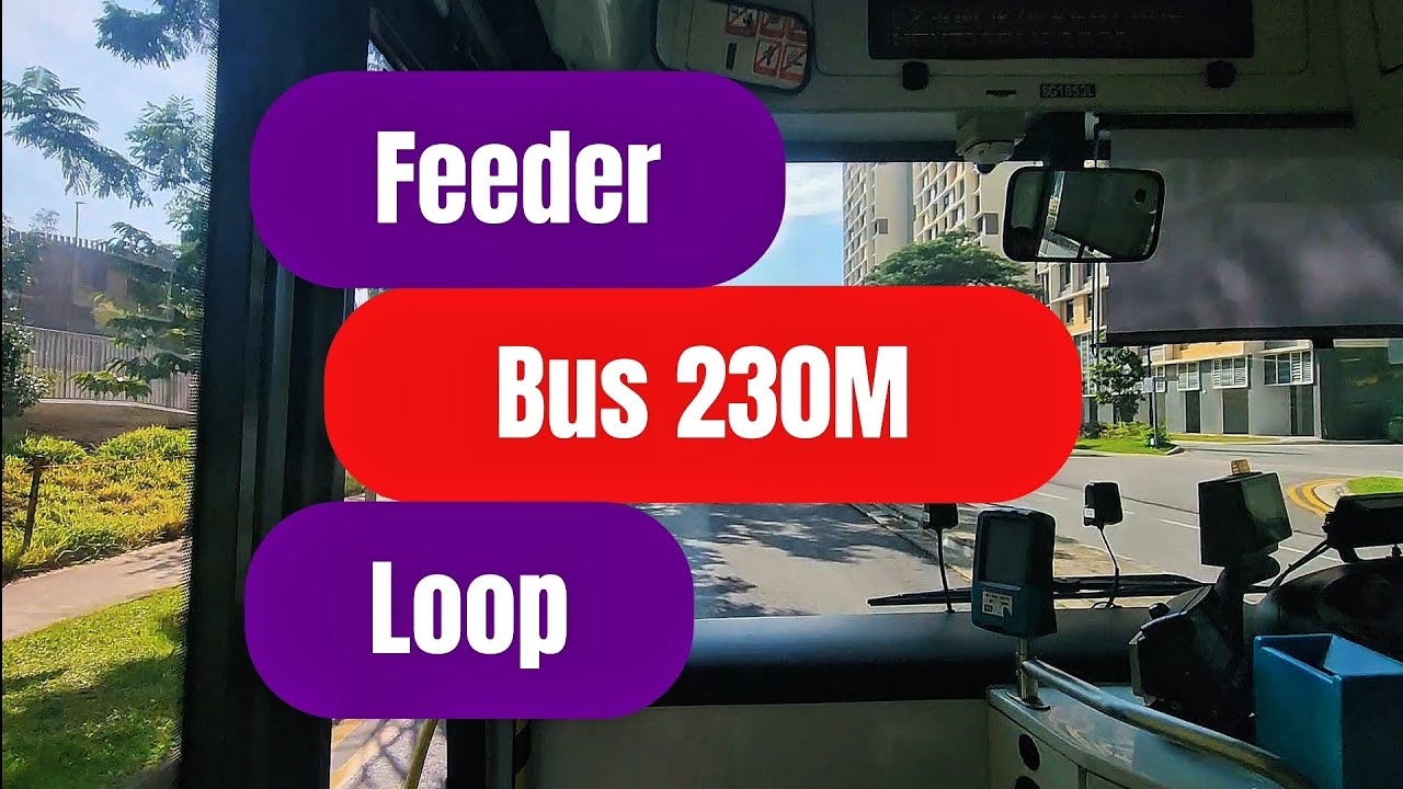 Feeder bus 230M (loop) - YouTube