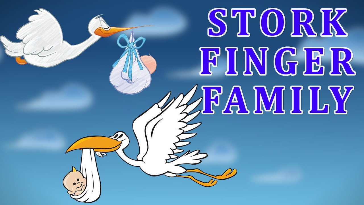 Stork | Animal Finger Family - YouTube