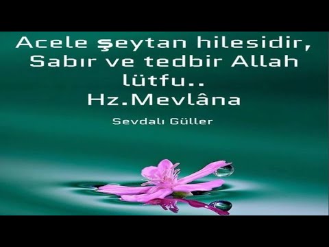 Sevgi Şifadır, Sevgi güçtür, Sevgi; Değişimin Mührüdür... Mevlana Celaleddin-i Rumi Sözleri