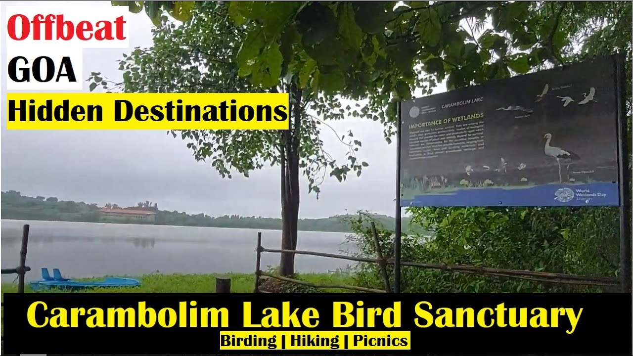 Birding: Carambolim Lake near Karmali, Goa | Offbeat Places for Hiking ...