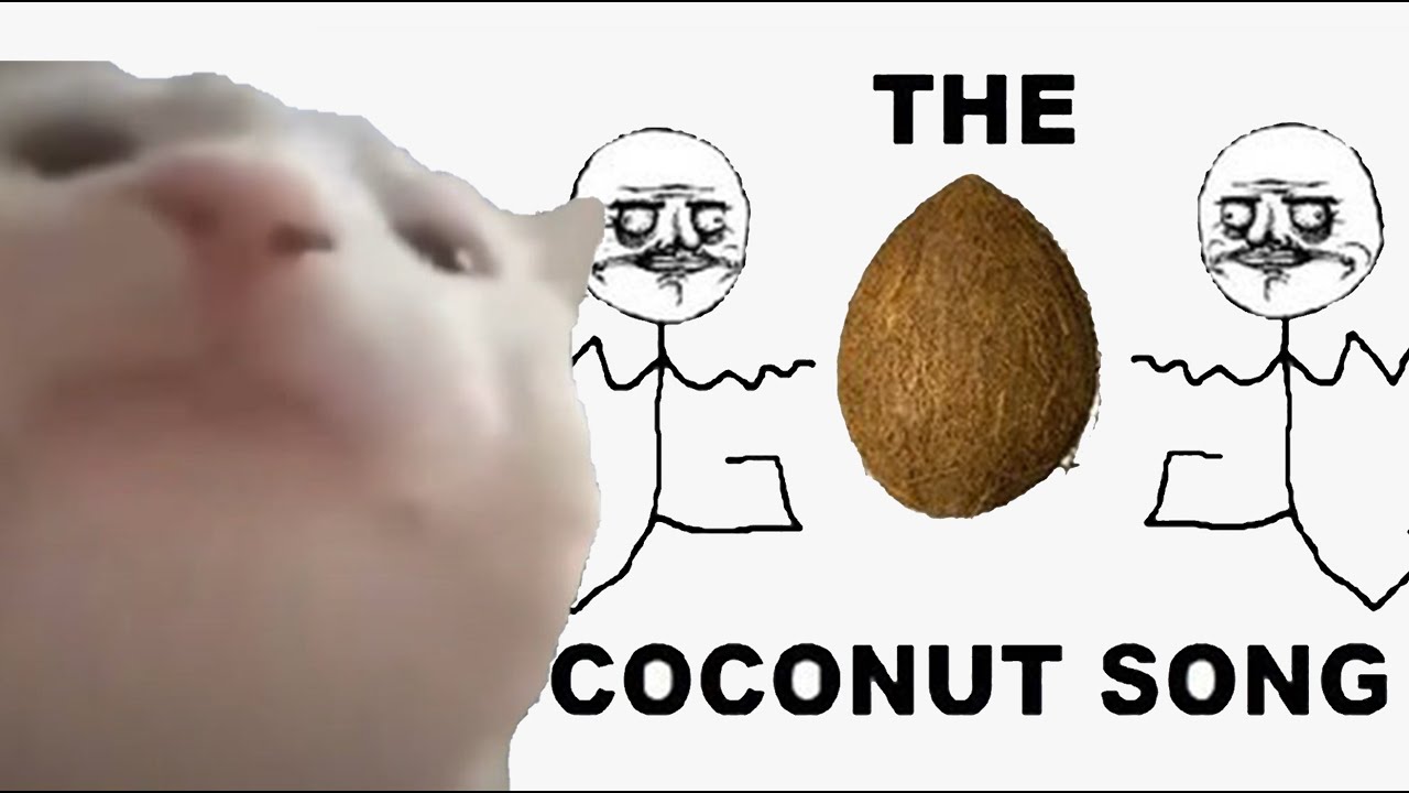 Cat Vibes to the Coconut Song - YouTube