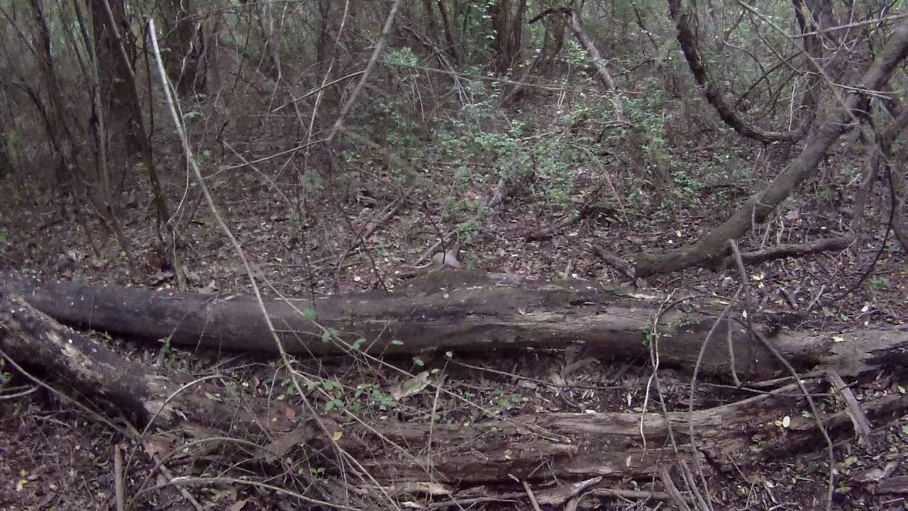 Redlands wma - YouTube