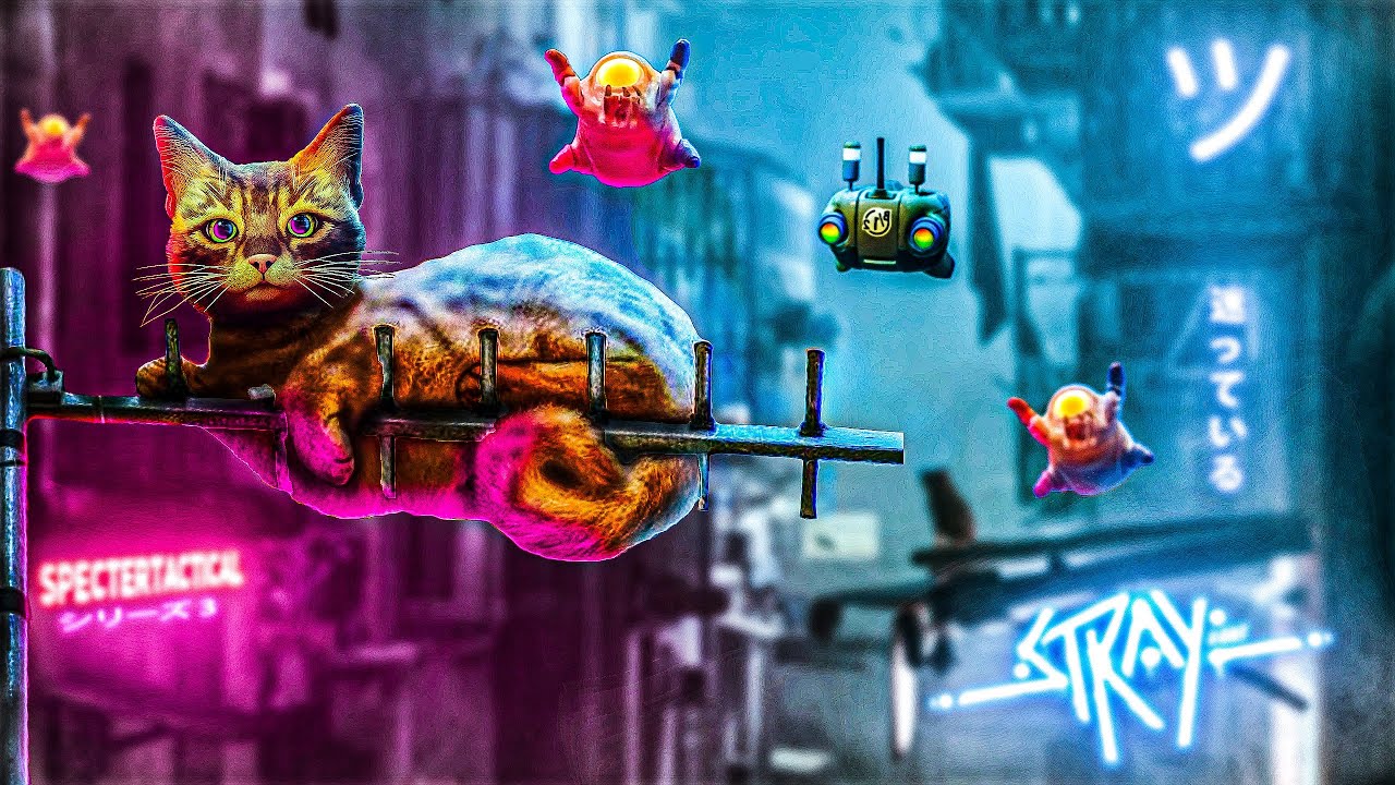 НАЛАЖИВАЕМ СВЯЗЬ Stray #3 - YouTube