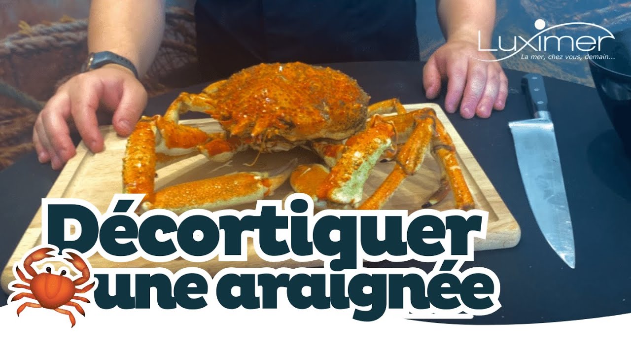 COMMENT DÉCORTIQUER UNE ARAIGNÉE DE MER ? | Tuto facile by Luximer ...