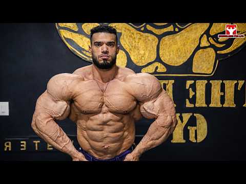 He is Ready for Arnold Classic 2026 - Mohamed Foda - SUPERIOR GENETICS