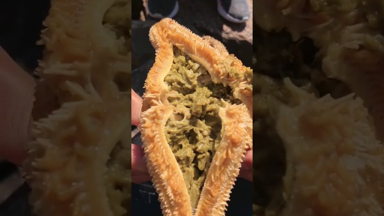 Grilled Star fish # Yummy # Spicy # Stone cooking - YouTube