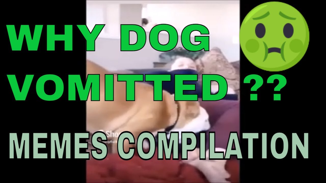 Random memes from Discord, Instagram and Twitter - YouTube