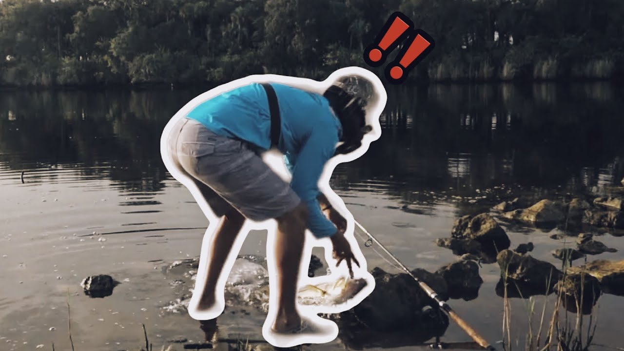 HOOKED IN THE HAND… SNOOK FISHING! - YouTube
