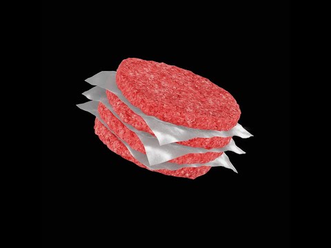 Beef Patties (2) (3d model) - YouTube