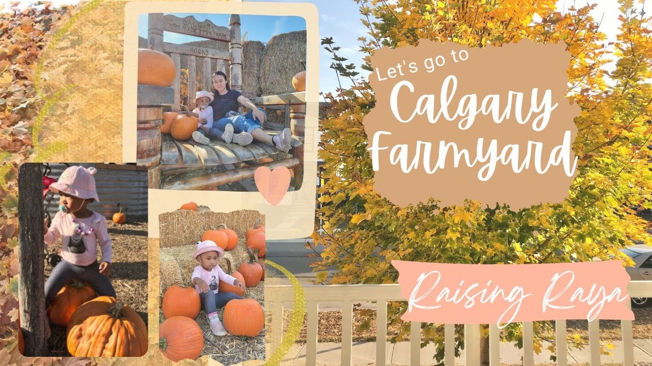 CALGARY FARMYARD - YouTube