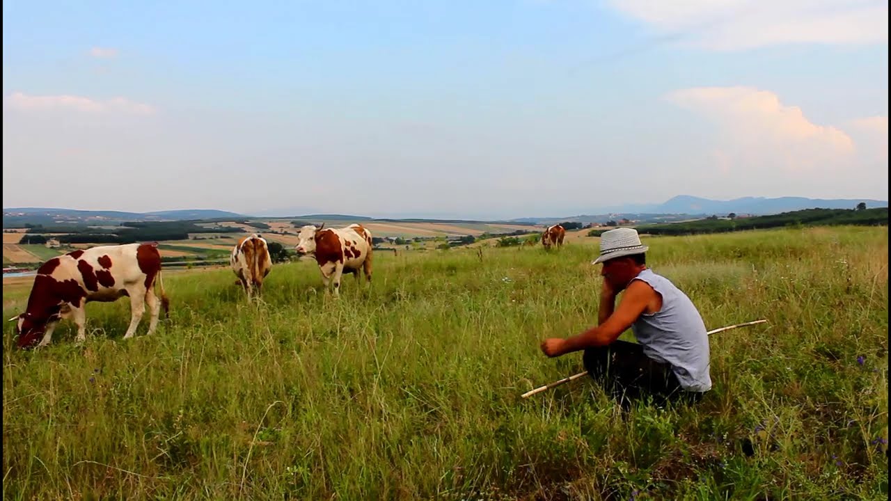 Jeta ne Fshat - Full HD Video - YouTube