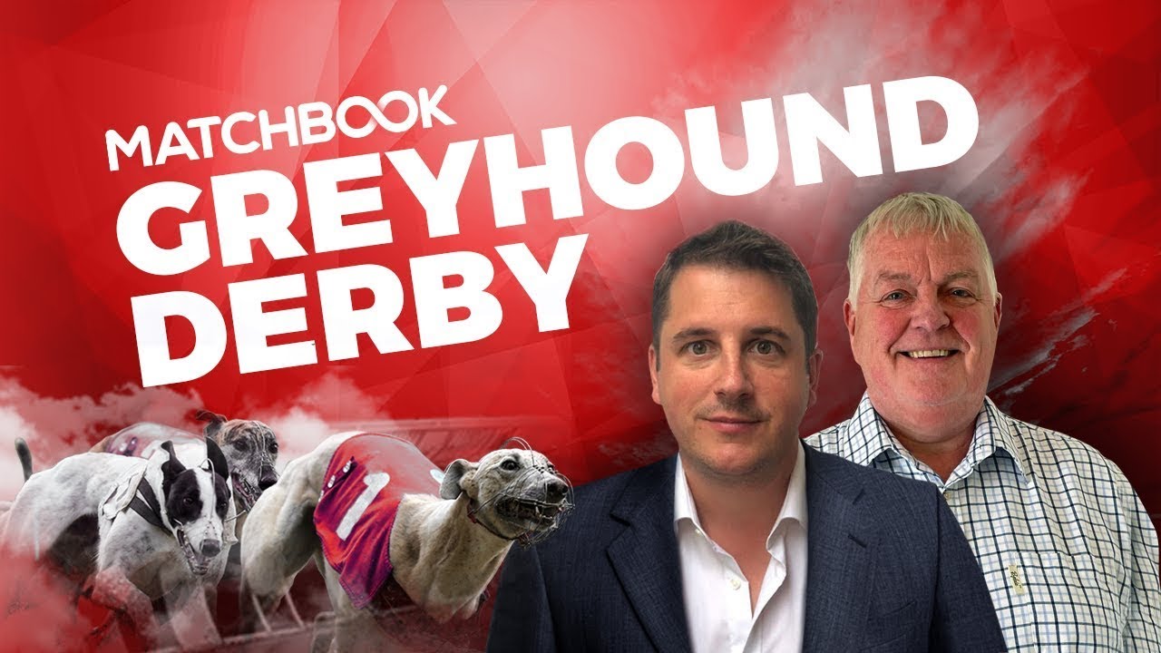 English Greyhound Derby: Semi-Finals | Best Bets - YouTube