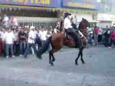 Cabalgata de Buga Colombia - YouTube