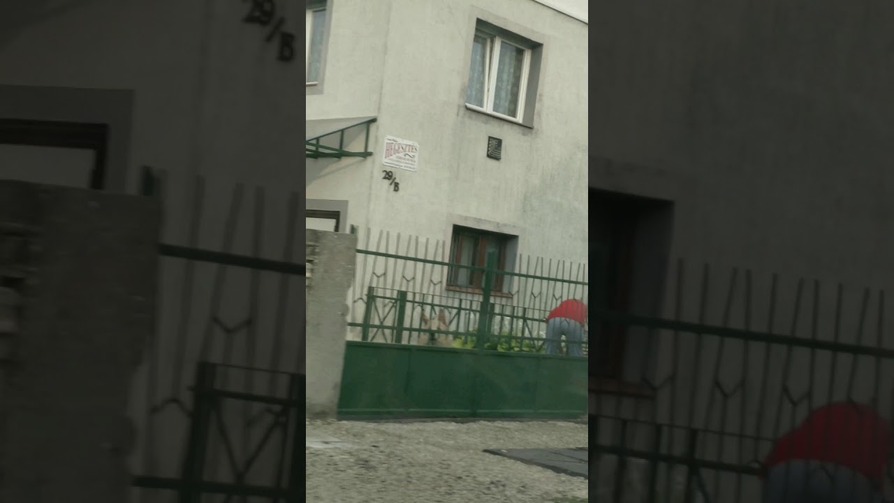 Gyúrunk, vazze? - YouTube