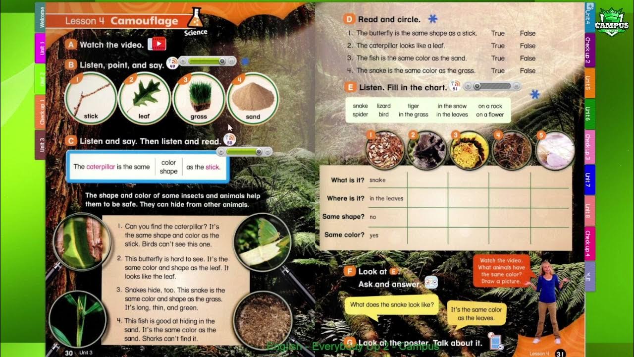 Everybody Up 4 - Unit 3 - Appearance - Lesson 4 - Camouflage - YouTube