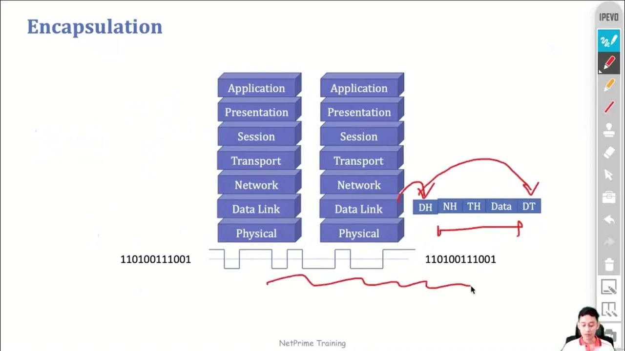 [Basic/CCNA] Protocol and Encapsulation - YouTube