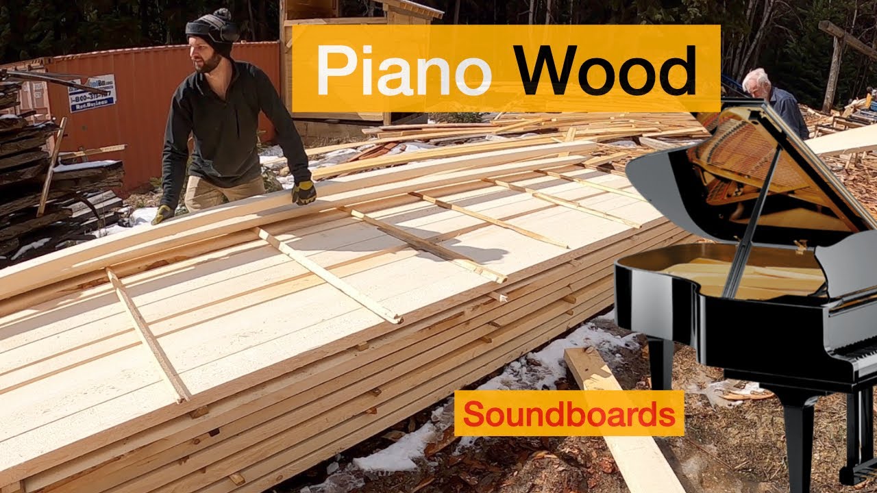 Making Piano Wood for Grand Piano Soundboards - How its made - YouTube