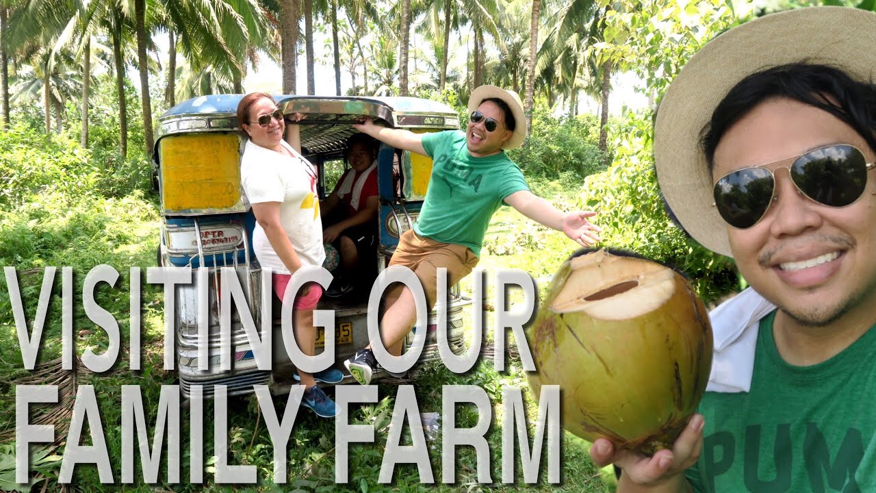 EATING COCONUTS FRESH OFF THE TREE IN THE MIDDLE OF THE JUNGLE! LET'S ...