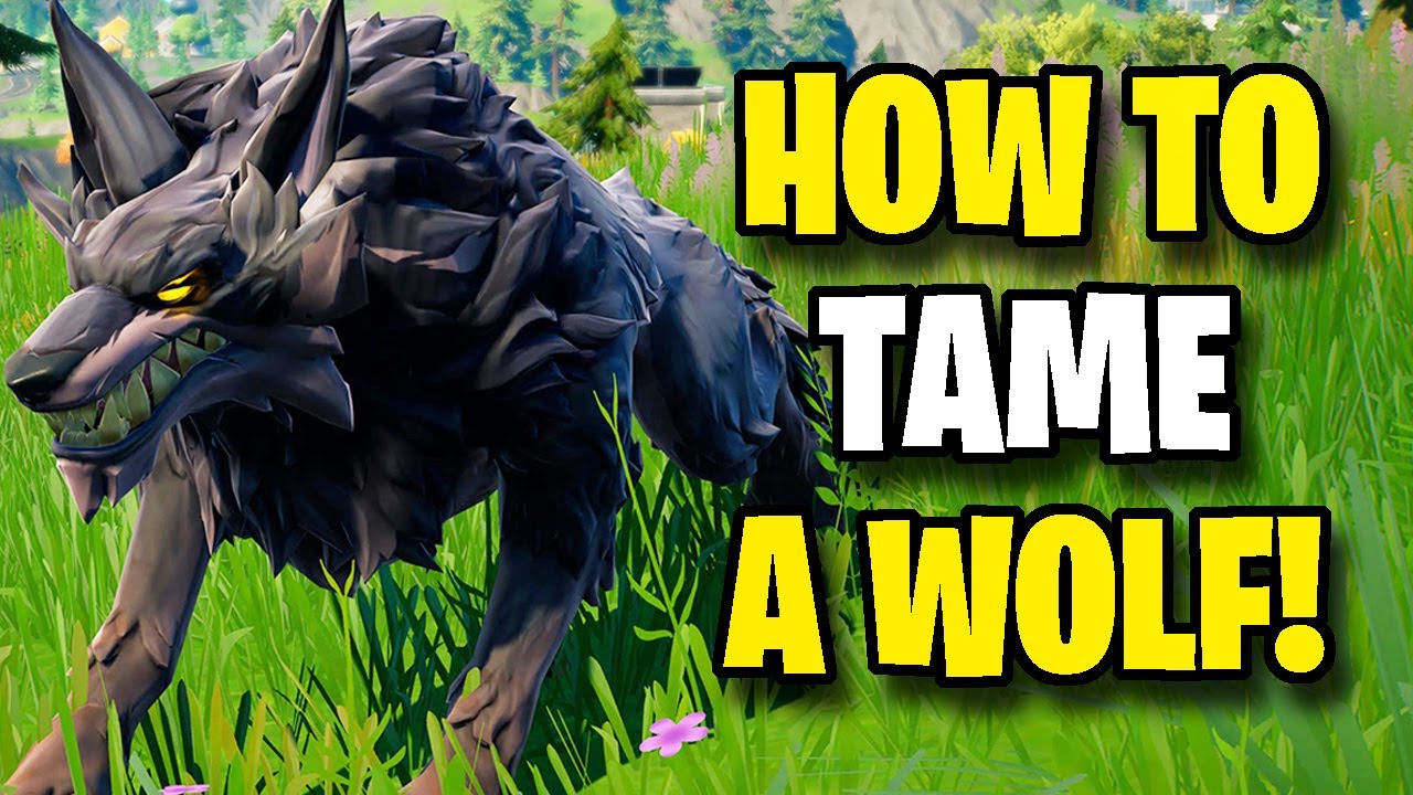 HOW TO TAME A WOLF IN FORTNITE CHAPTER 2 SEASON 6 (EASY GUIDE) - YouTube