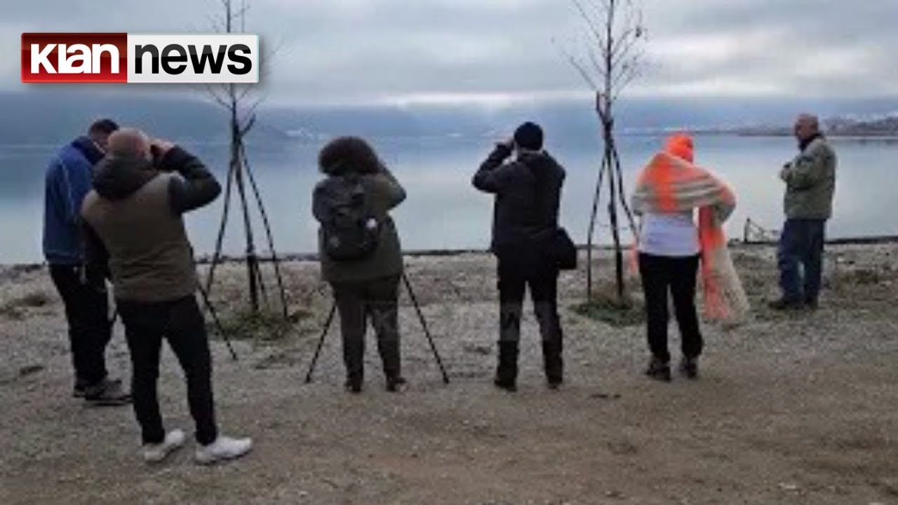 Klan News - Ulet numri i shpendëve ujorë dimërues - YouTube