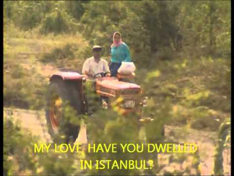 Yarim İstanbul'u Mesken Mi Tuttun