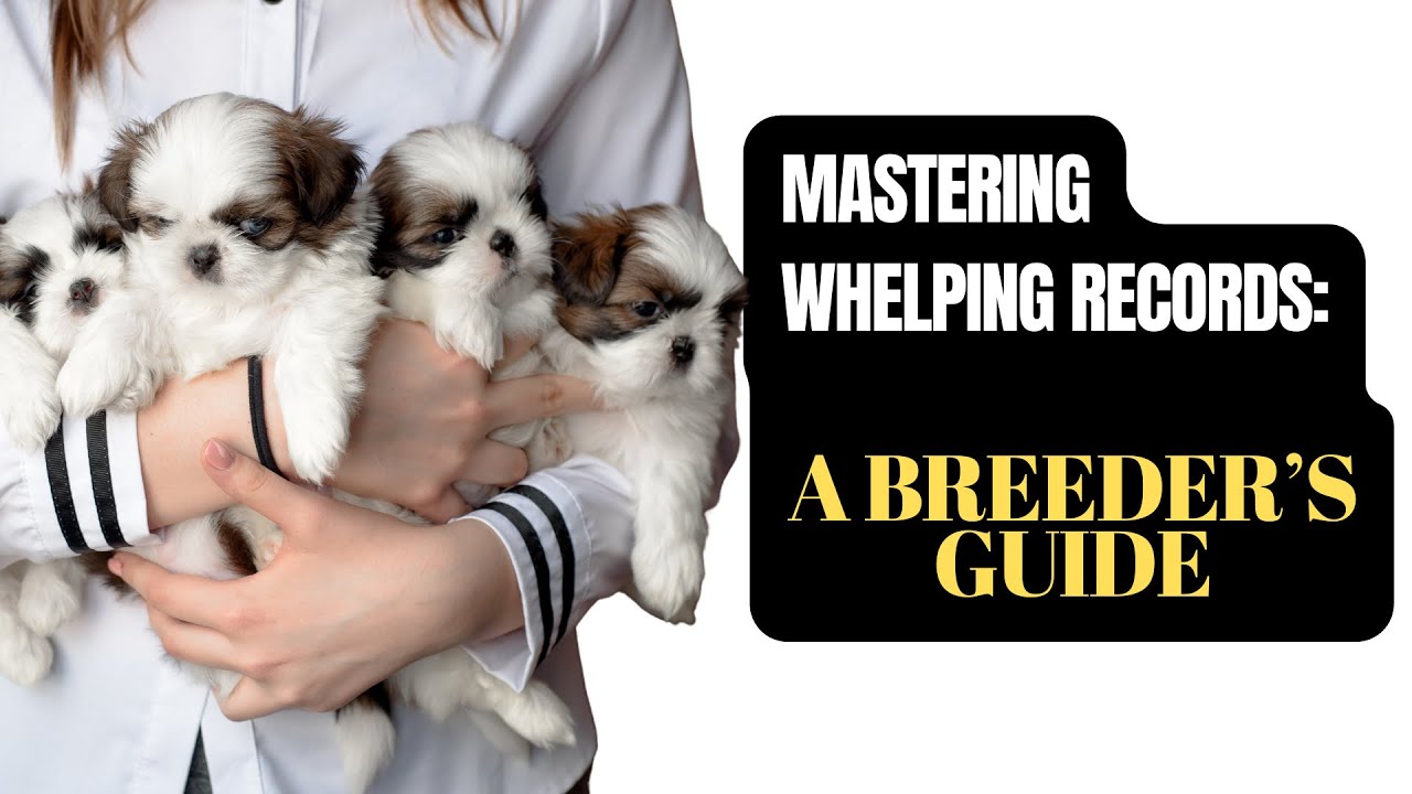 Mastering Whelping Records: A Breeder's Guide - YouTube