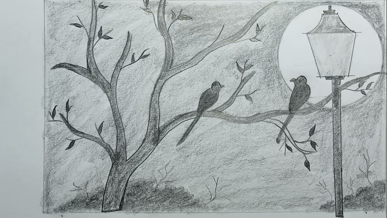 How to Draw Beautiful Scenery of Moonlight Night by pencil sketch ...