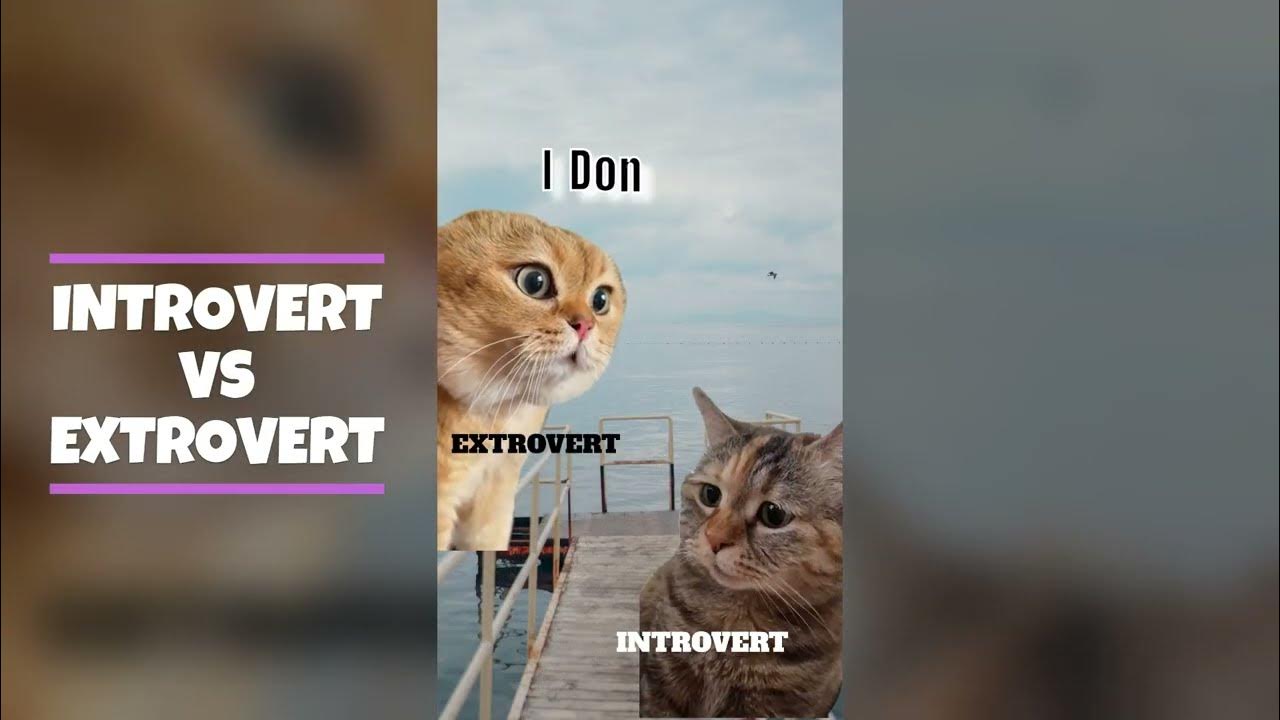 INTROVERT VS EXTROVERT - MEME COMPILATION - YouTube