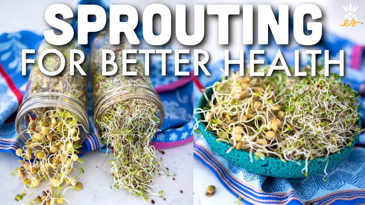 The Healthiest & Cheapest Superfood: Sprouting How-To w/ Doug Evans ...