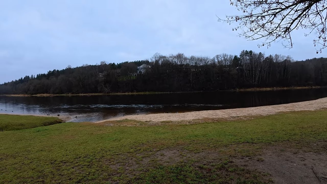Long Walk Along the Neris River | Antakalnis to Valakampiai, Vilnius ...