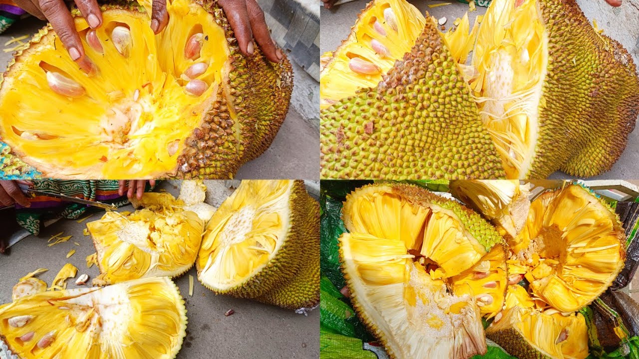 Amazing 25 kg Biggest Jackfruit Cutting Style 💢⁉️ | How to Cut ...