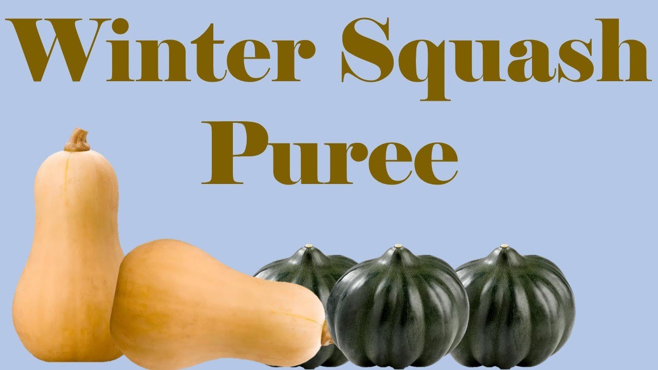 Winter Squash Puree and Freeze Drying - YouTube