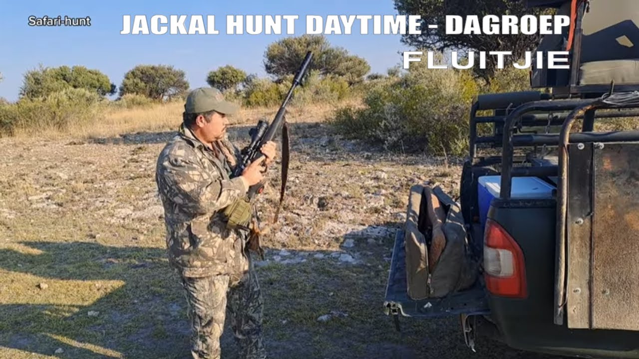 Jackal Hunting Daytime - Dagroep Fluitjie - YouTube