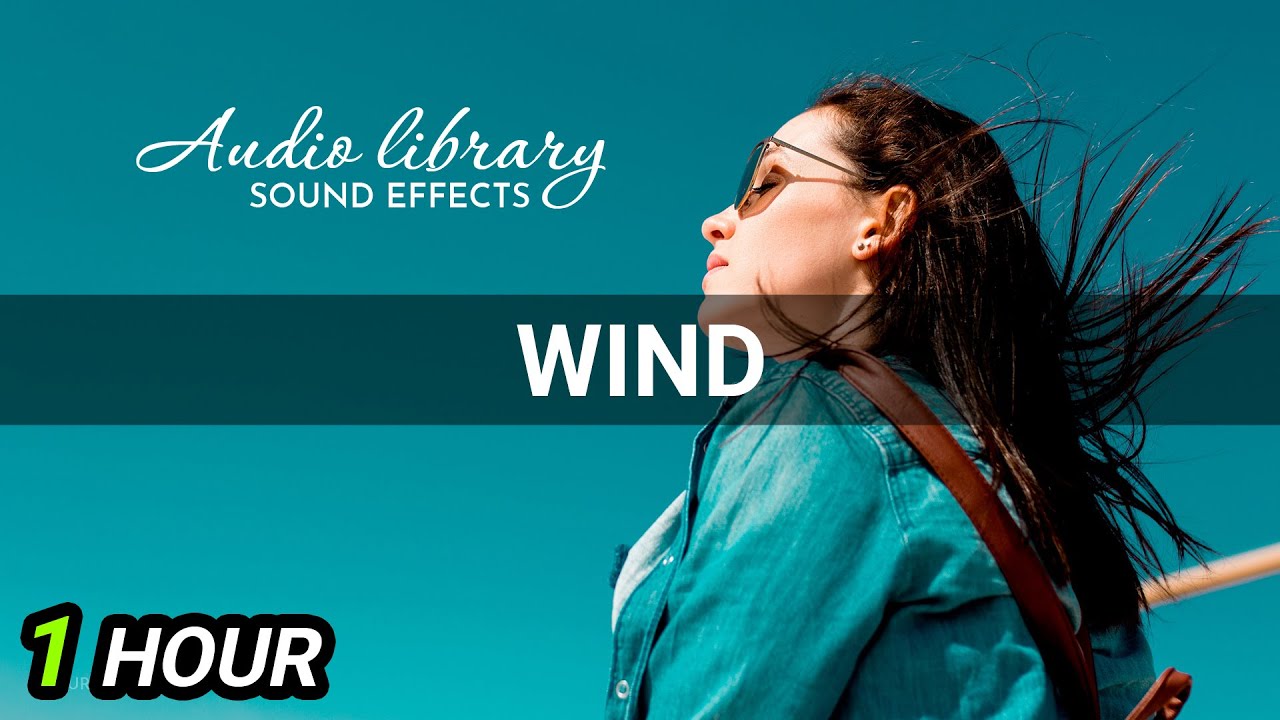 Wind • Sounds Effects (1 Hour Version) - YouTube