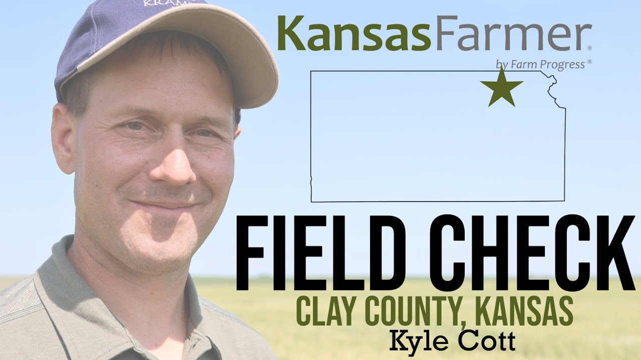 Field Check 2025: Clay County, Kansas - YouTube