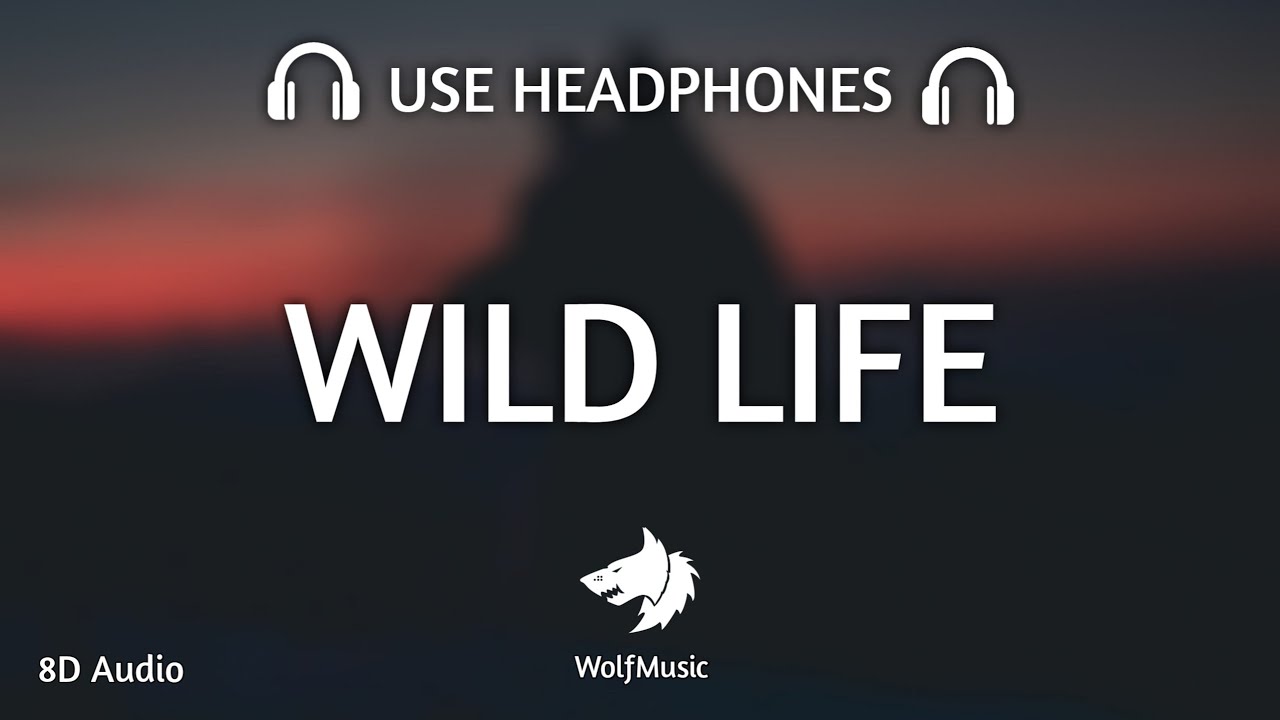 🎧 OneRepublic - Wild Life (8D AUDIO) - YouTube