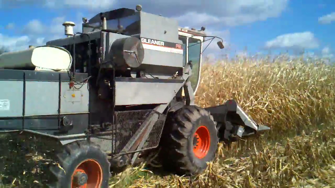 Gleaner F2 Corn - YouTube
