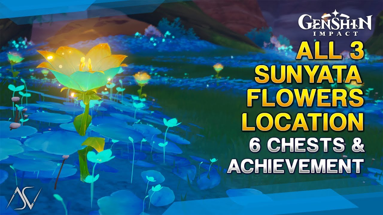 All 3 Sunyata Flowers Puzzle Location - 6 Chests & Hidden Achievement ...