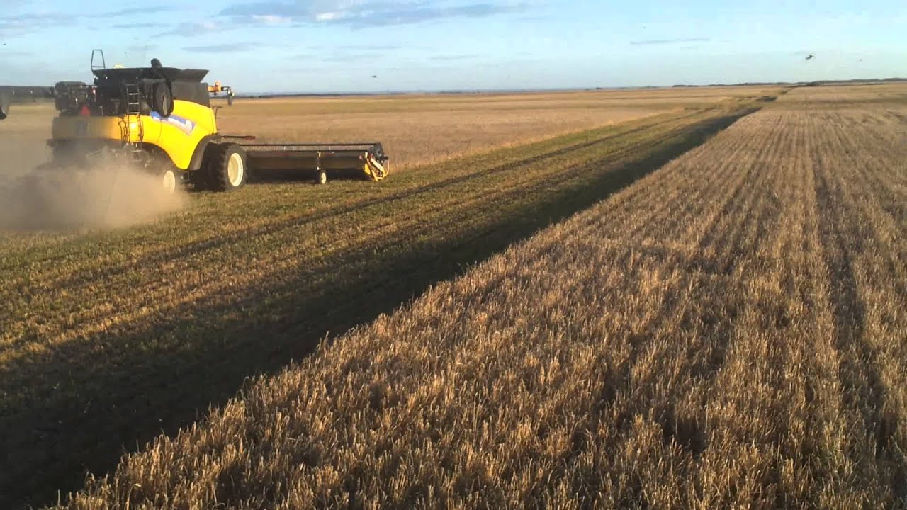 combining barley in Saskatchewan - YouTube