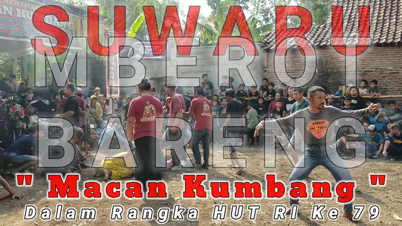 Bantengan Macan Kumbang Main Di Dusun Suwaru - YouTube