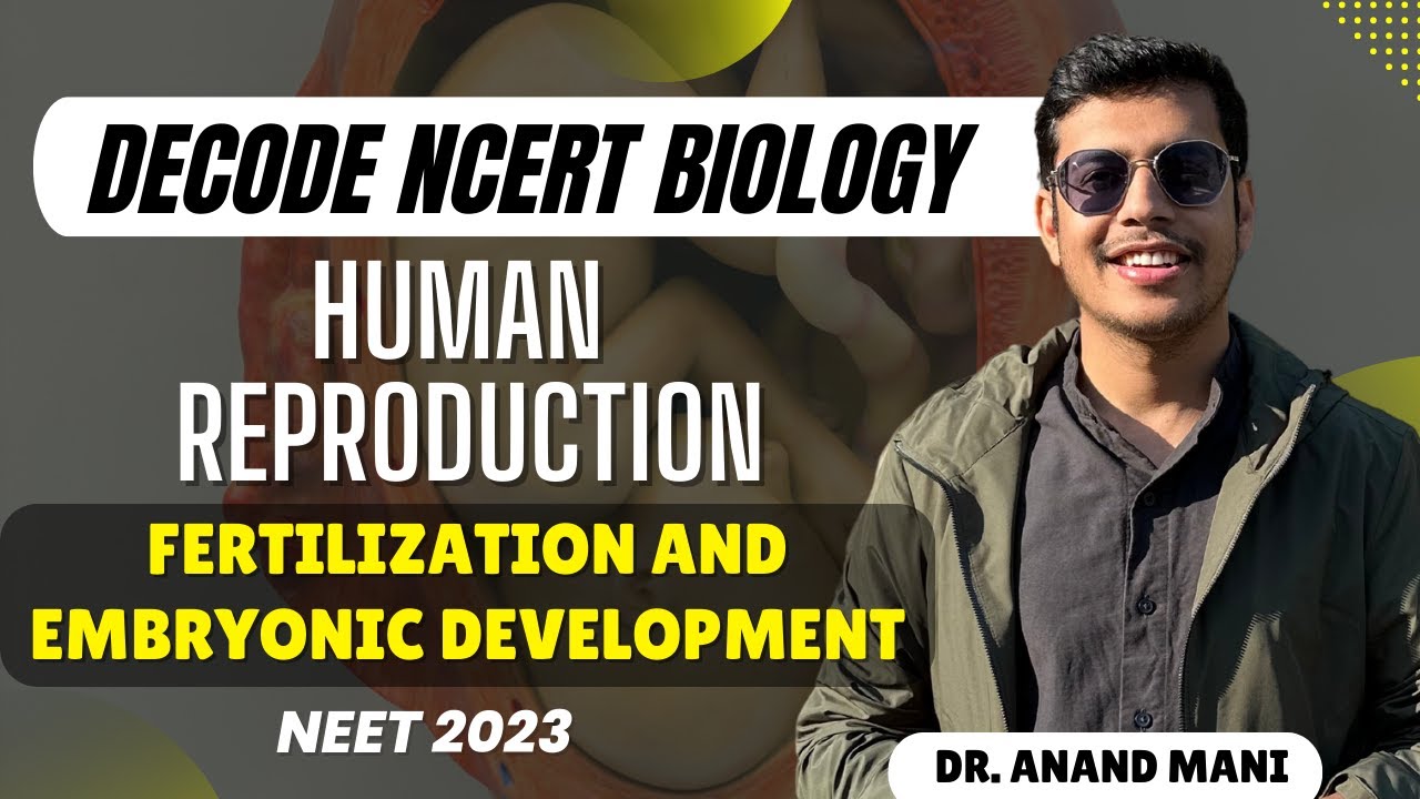 Human Reproduction | Fertilization And Embryonic Development | Decode ...