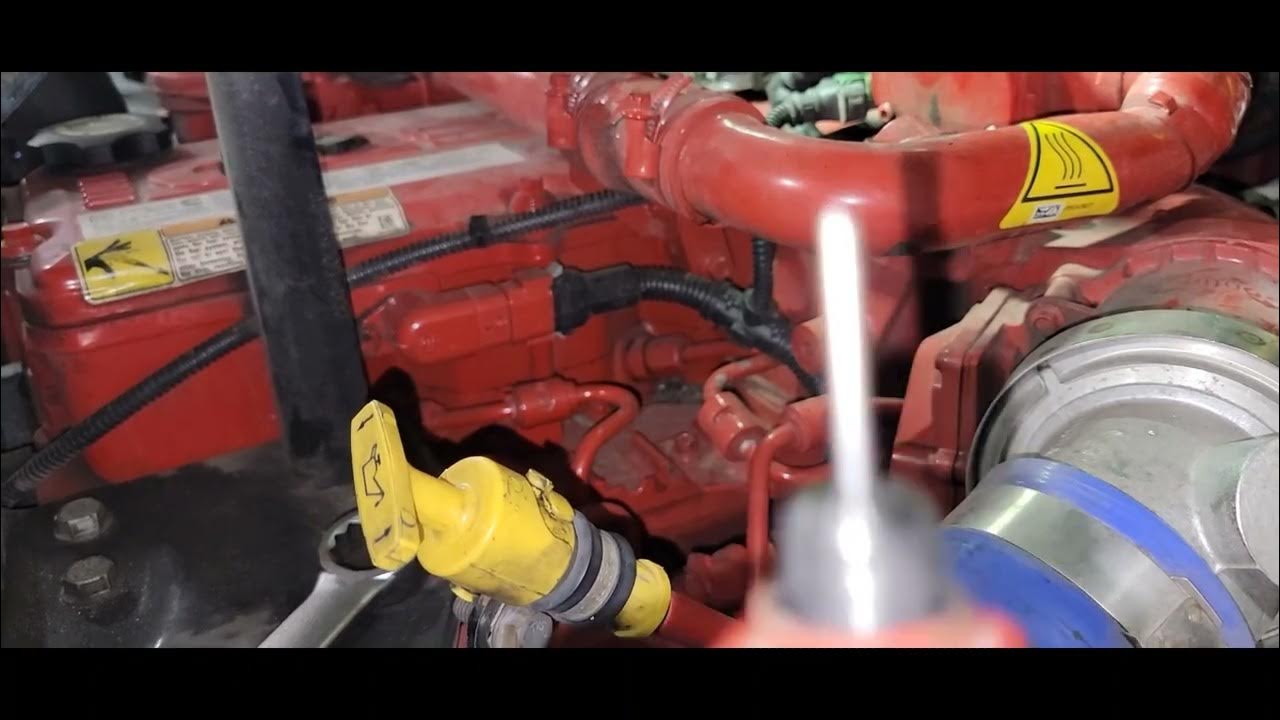 2021 M2 Freightliner Cummins EGR Valve and Temp sensor clean. - YouTube