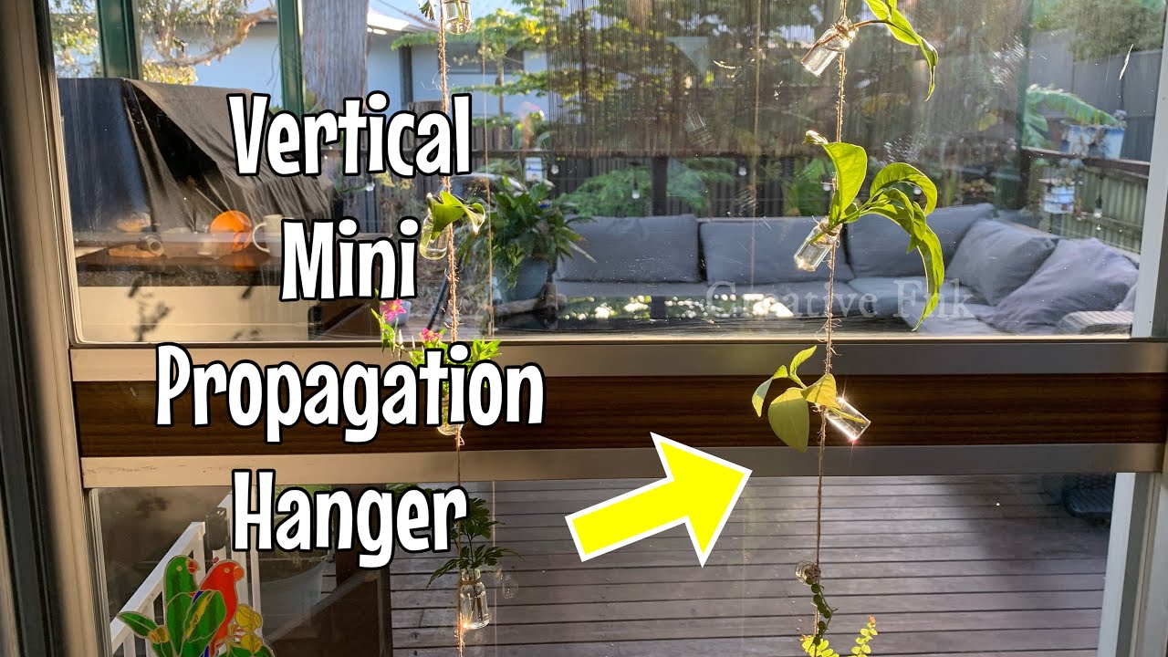How to make a vertical mini propagation hanger 🪴 Grow cuttings in your ...