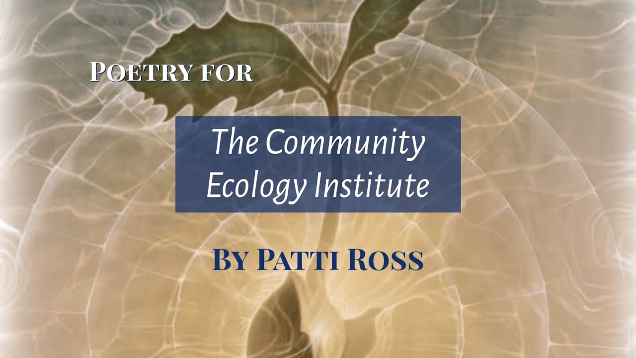 Writing the Land: Patti Ross reads a poem for The Community Ecology ...