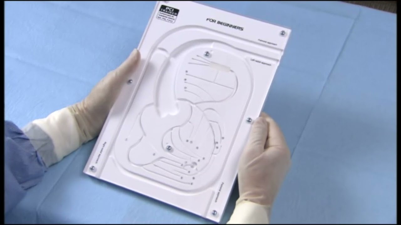 Angioplasty technique: PCI trainer for beginners (English version ...