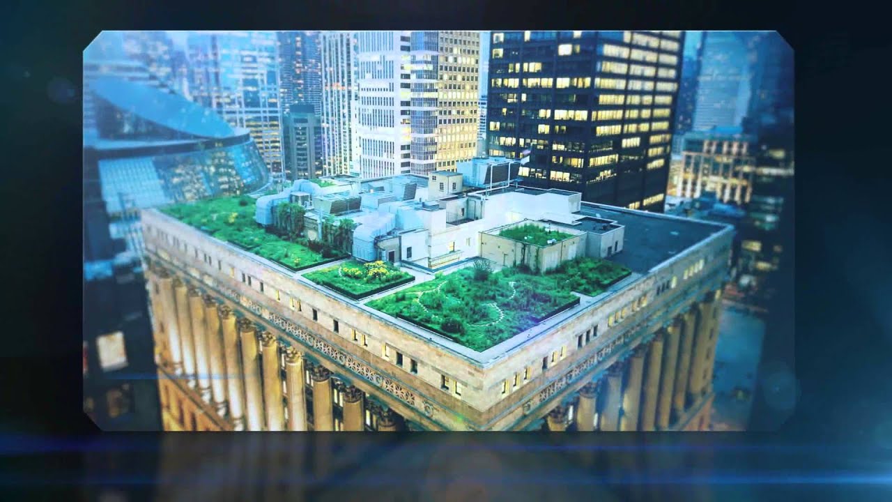Ark Oculus - Architectural 3D Designing & Rendering Studio. India - YouTube