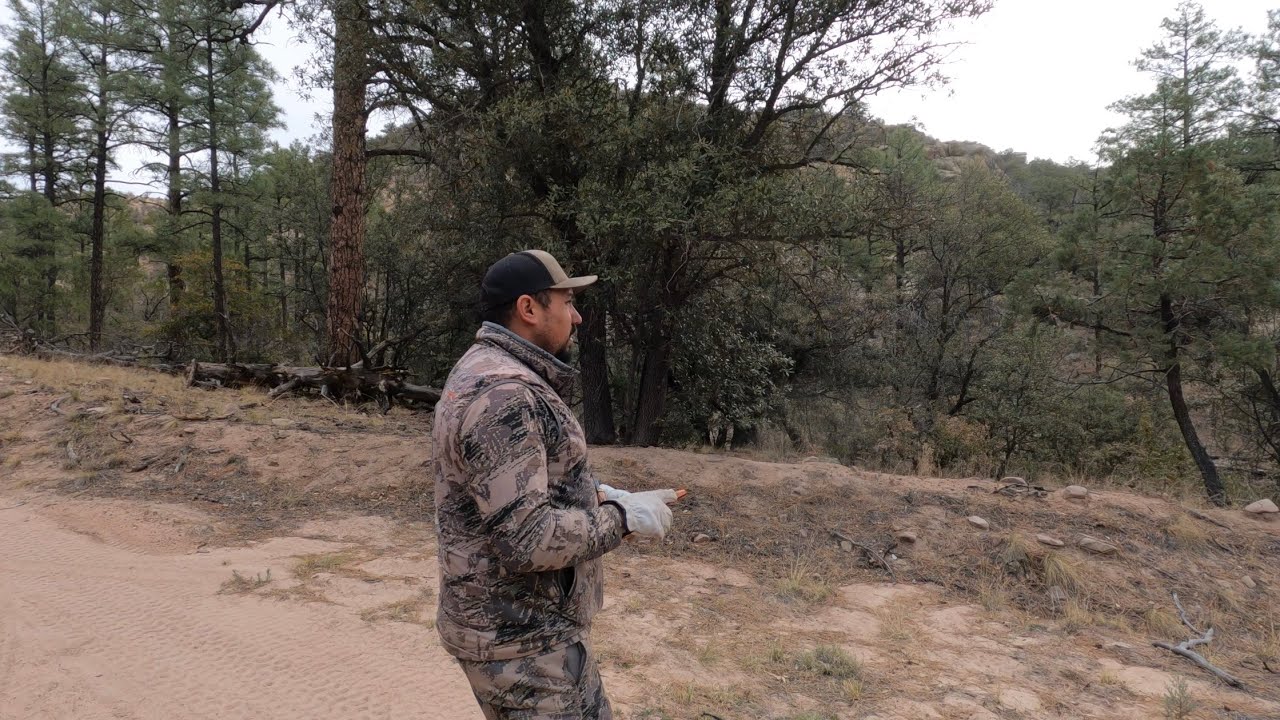 New Mexico spring turkey hunt 2021 ( it’s been a tough start to the ...