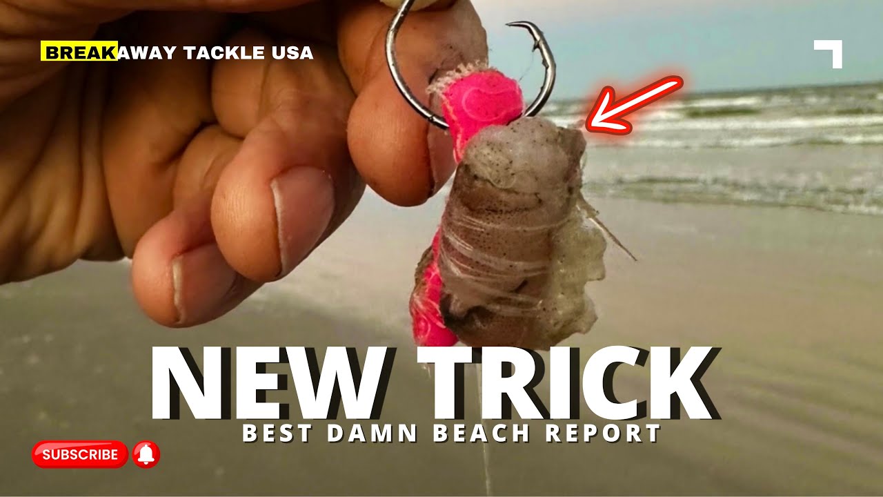 New Trick to holding Bait. Your Best Damn Beach Report 10/15/2023 - YouTube